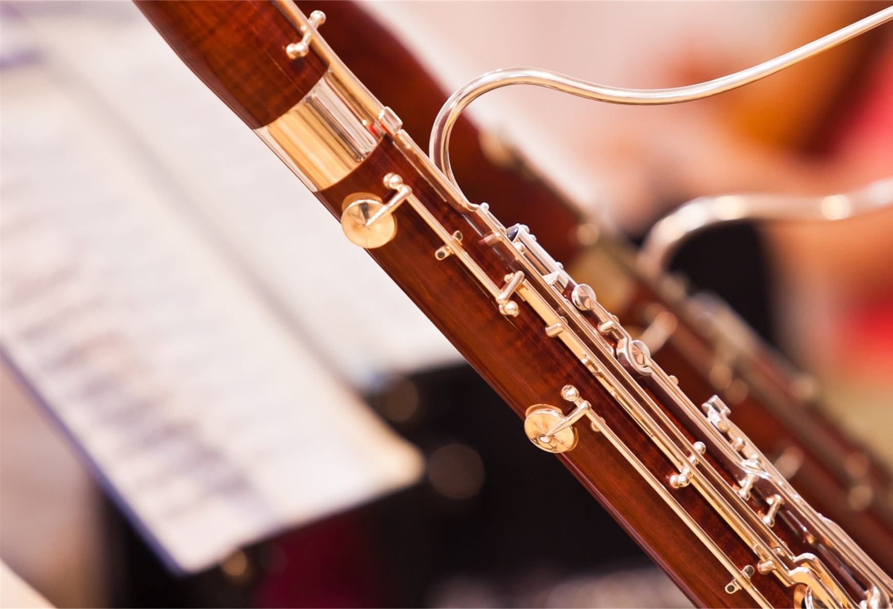 Bois – conservatoire